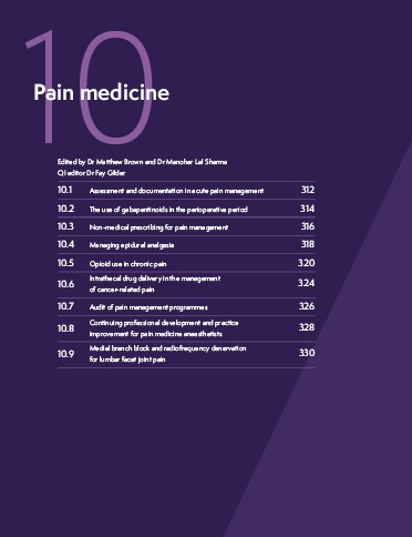 Raising the Standards: RCoA Quality Improvement Compendium | The Royal ...